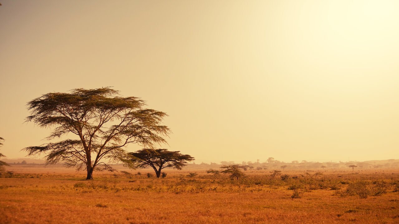 Sub Saharan Africa Landscape